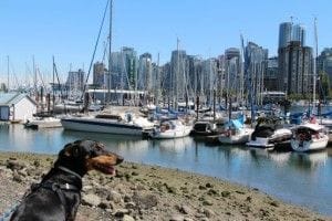 ¿Visitas Vancouver por Primera Vez? Parque Stanley (Qué ver y hacer)