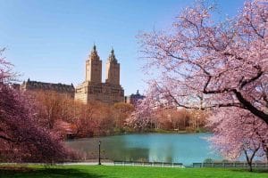 Spring in New York City: 6 Blissful Activities in the Big Apple