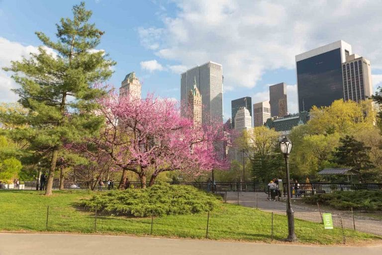 Spring in New York City: 6 Blissful Activities in the Big Apple