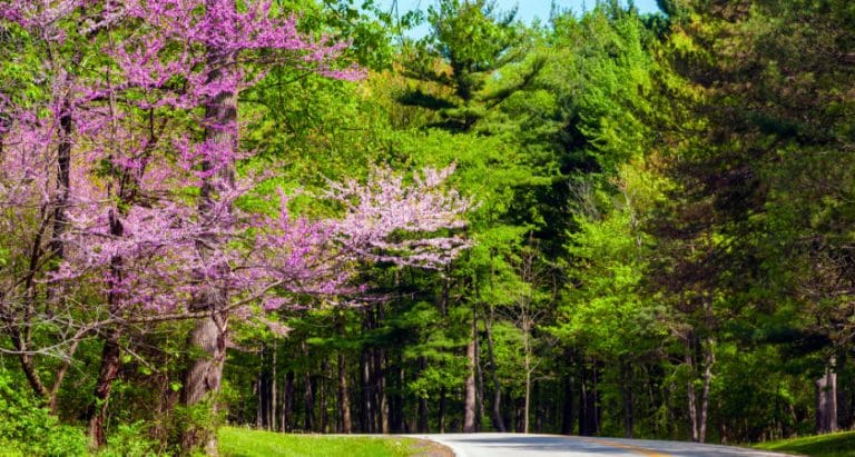 Spring in Ohio: 5 Fun Things to Do in the Buckeye State