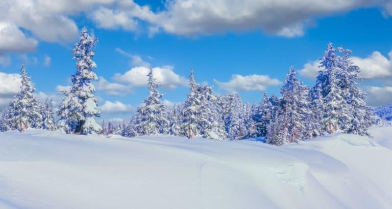Does it snow in California? When, Where & Surprising Facts!