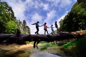 5 Best Things to Do in Anchorage with Kids (2023)
